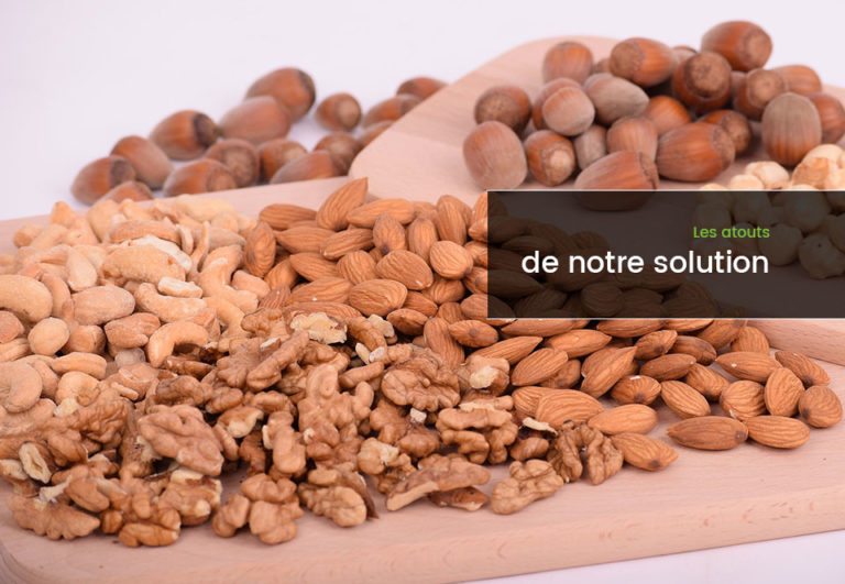 Steripure, leader pour le traitement des bacteries pathogènes